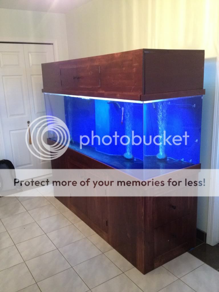 Project #10 - Wilson's stand | Page 3 | British Columbia Aquarium Forums