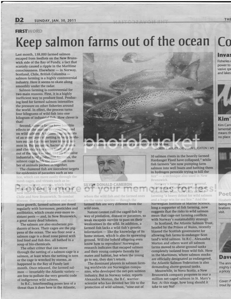 Silver Donald Cameron on Salmon Farms | Wild Salmon Survival