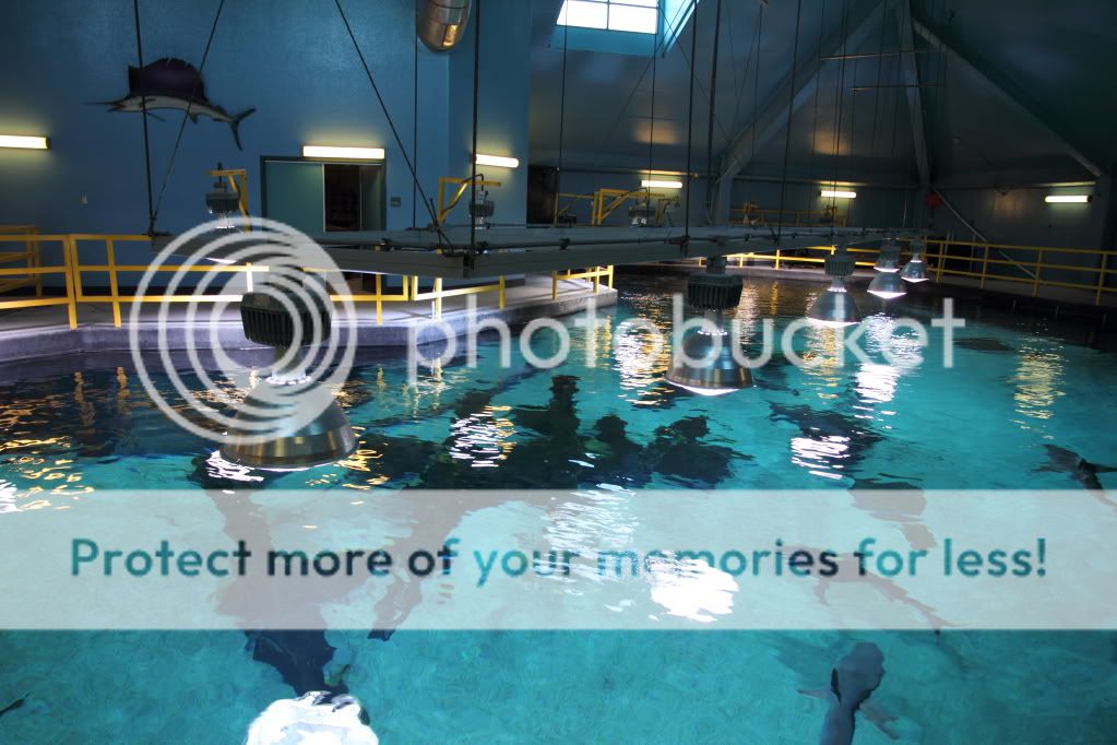 Albuquerque Aquarium tour!! - Page 3 - Reef Central Online Community