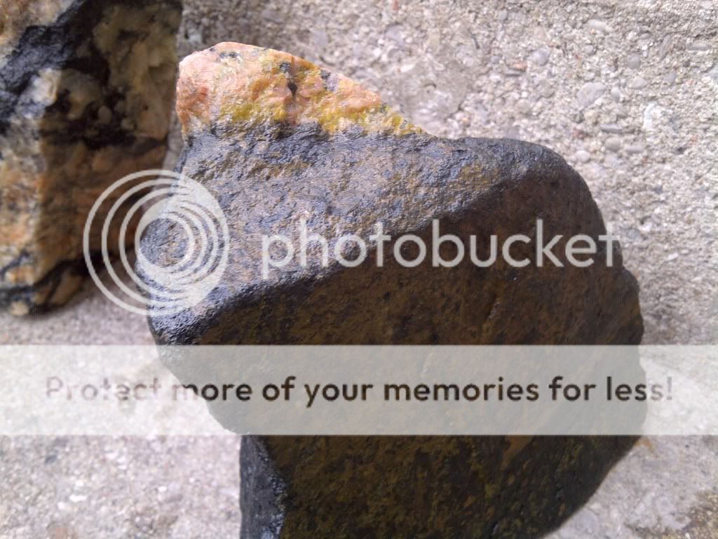 Rocks with rust on them? | Cichlid Fish Forum